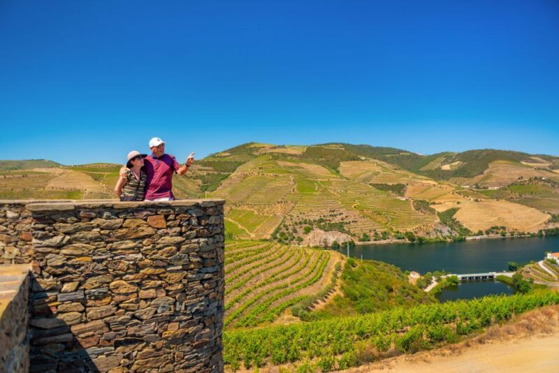 Porto: Douro Wine Tour with Lunch and River Cruise - Who Should Think About This Tour?