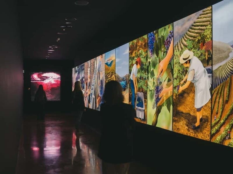 Porto: Entry Ticket at WOW - The Wine Experience Museum - Key Points