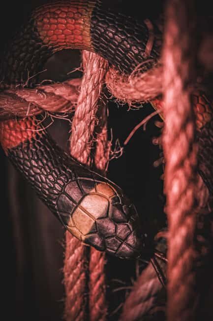 Porto Escape Room: Catacomb Jones - Final Thoughts on Porto Escape Room: Catacomb Jones