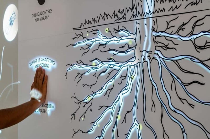 Porto: Fonseca Wine Cellar & WOW Wine Experience - The WOW Wine Experience Museum