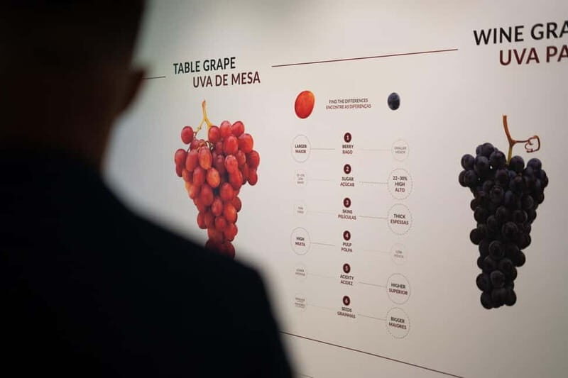 Porto: Fonseca Wine Cellar & WOW Wine Experience - The Experience Itself