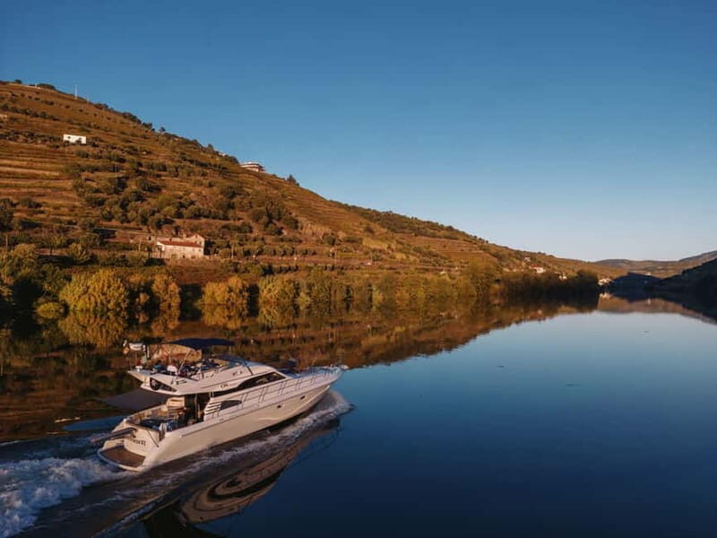 Porto: Full Day Douro River Cruise from Porto to Régua - Key Points