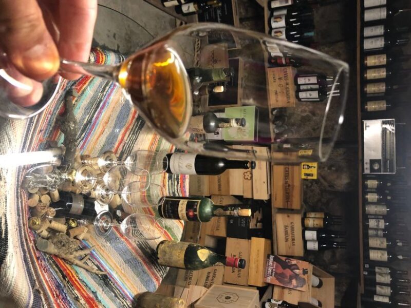 Porto Gourmet Guided Food Tour and Wine - The Sum Up