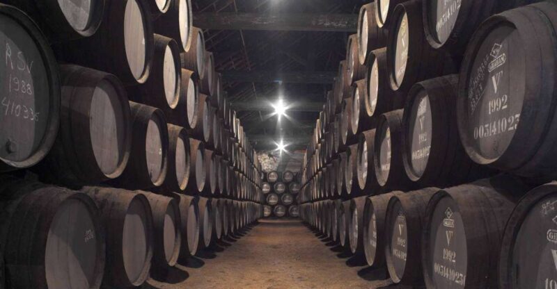 Porto: Graham's Port Lodge Tour with Premium Wine Tastings - A Closer Look at the Tour Experience