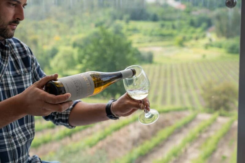 Porto: Green Wine Tasting and visit - What to Expect on the Tour