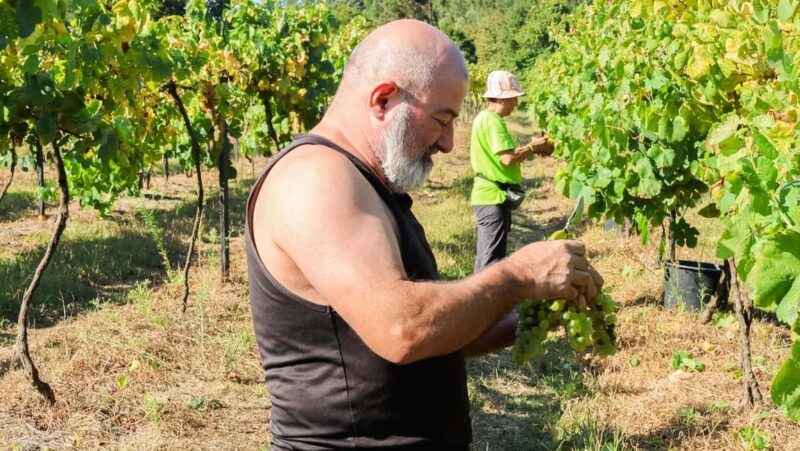 Porto: Green Wine Tasting and visit - Final Thoughts