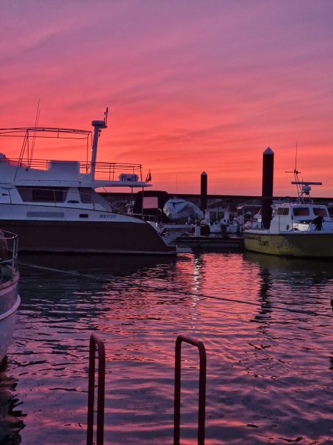 Porto: Guide Boat tour with tasting of 4 Port wines - The Magic of Sunset and Scenic Vistas