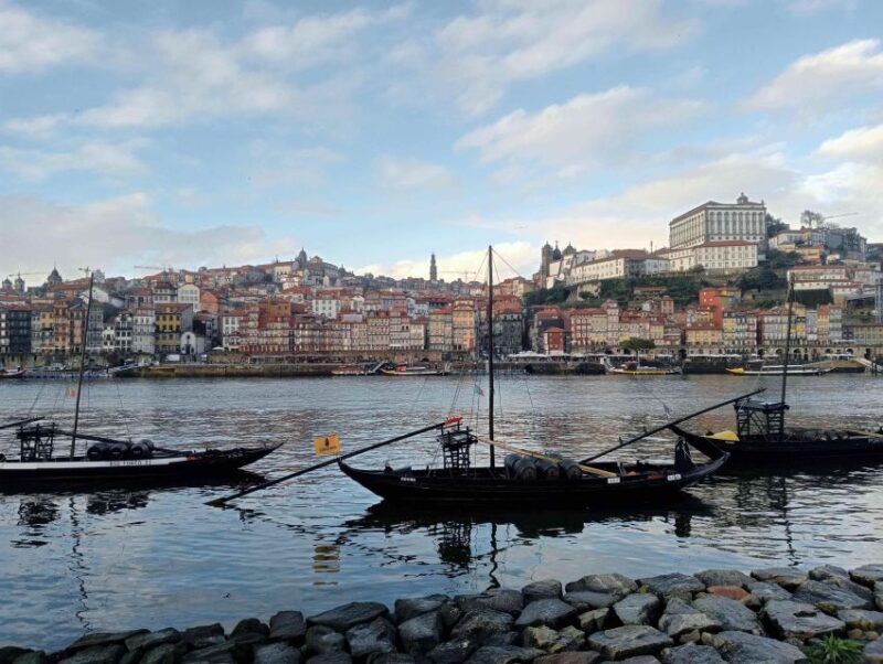 Porto: Guided Walking Tour - Starting Point: Praça de Gomes Teixeira