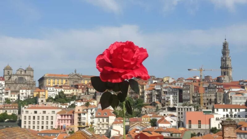 Porto: Guided Walking Tour with Clérigos Church - Authentic Experience and Tips