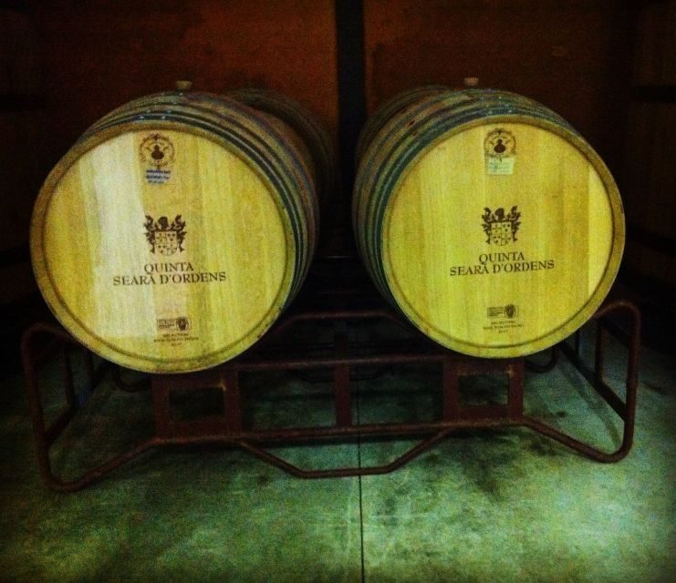 Porto: Half-Day Small Group City Tour with port wine tasting - Why This Tour Works for Travelers