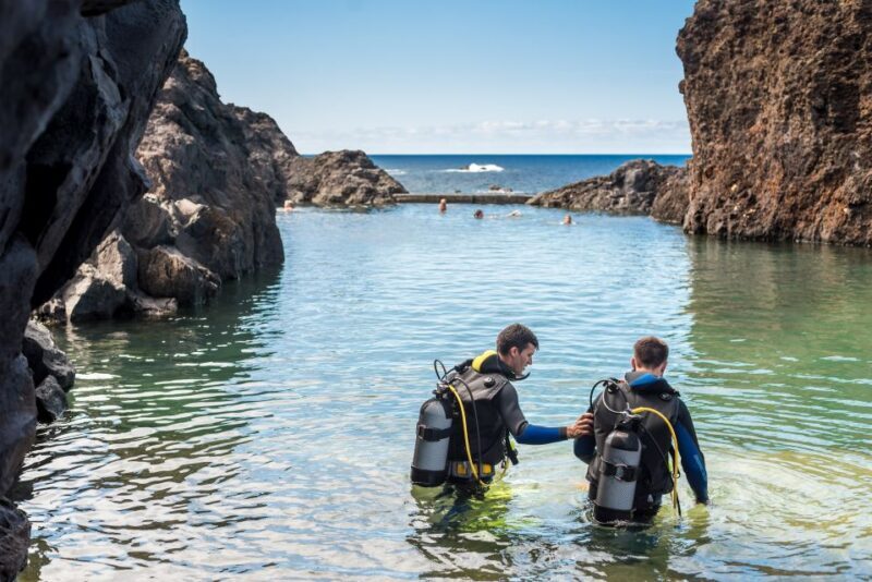 Porto Moniz: Diving with Sharks and Rays in Madeira Aquarium - The Experience’s Strengths and Considerations
