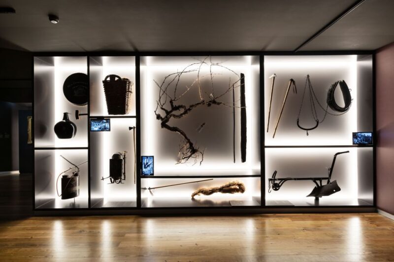Porto: Museum of the Oldest Appellation in the World Ticket - Practical Information and Value