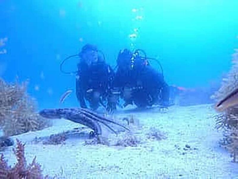 Porto: My first Scuba Dive in the Ocean - Practical Tips for the Best Experience