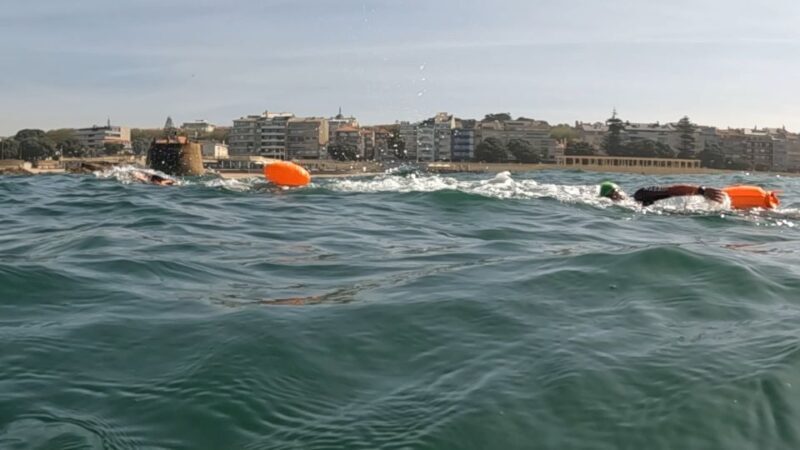Porto: Open Water Swimming Tour with Wetsuit - Who Will Love This Tour?