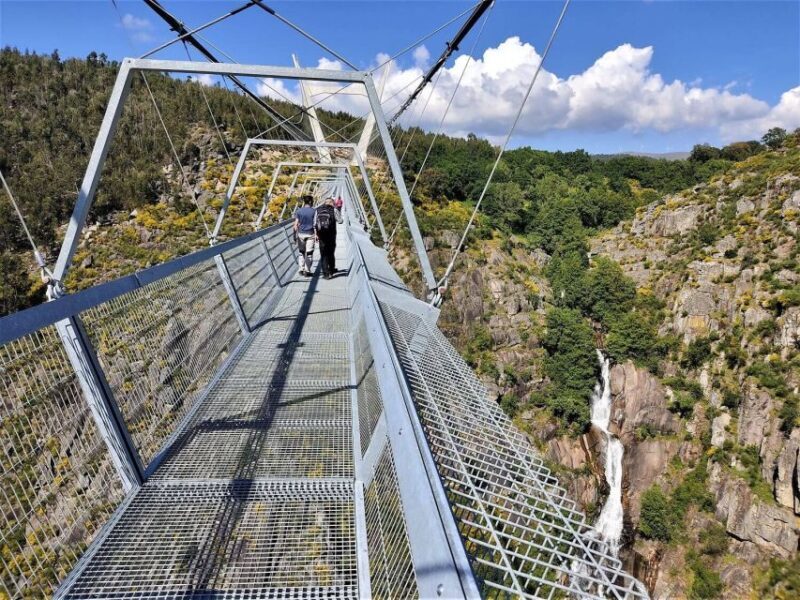 Porto: Paiva Walkways and Suspension Bridge Hike with Lunch - Who Will Love This Tour?