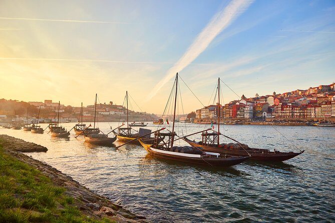 Porto Panorama | The Ultimate Private Day Tour - Who This Tour Suits Best