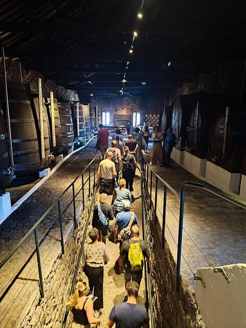 Porto: Port and Douro Wine Walking Tour with Tastings - A Few Practical Tips