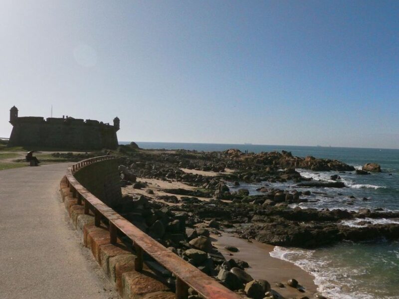 Porto + port cellar visit and tasting + sardine factory tour - Exploring Porto’s Historic Old Town