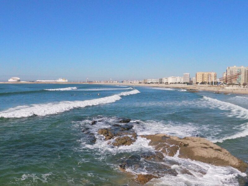 Porto + port cellar visit and tasting + sardine factory tour - Scenic Riverside & Seafront Ride