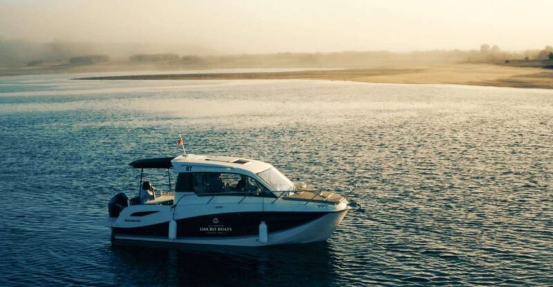 Porto: Private Boat Tour in Douro River - An Overview of the Douro River Private Boat Tour