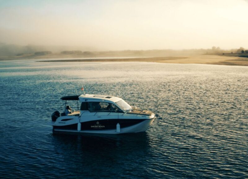 Porto: Private Boat Tour in Douro River - Who Is This Tour Best For?