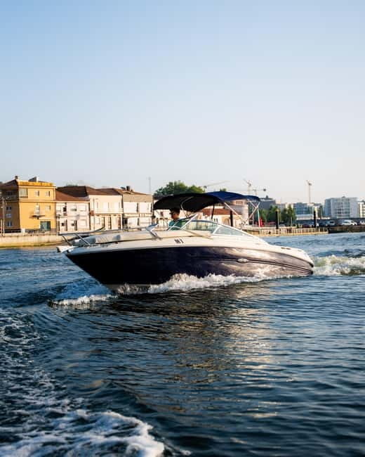 PORTO: Private Cruise on Douro - up to 6 people - Who Will Appreciate This Tour?