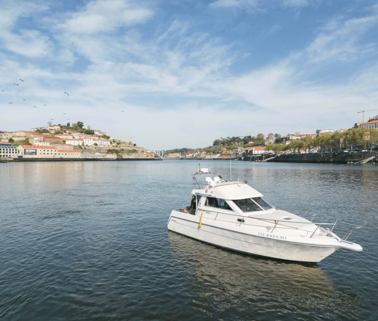 Porto: Private Douro River Sunset Cruise - Final Thoughts: Who Should Consider This?