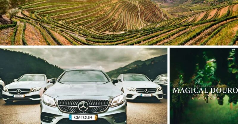 Porto: Private Douro Valley Day with Lunch - Starting in Porto: Setting Off on a Scenic Journey