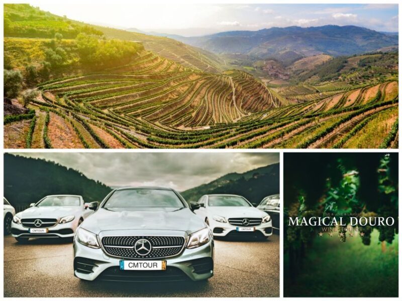 Porto: Private Douro Valley Day with Lunch - Scenic Drive and Peso da Régua Viewpoint