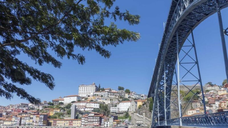Porto: Private Full-Day City Tour - A Detailed Look at the Porto Private Full-Day Tour