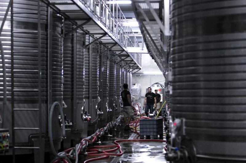 Porto: Private Green Wine Tour: Visit 2 Wine Estates & Lunch - Exploring the Itinerary in Detail