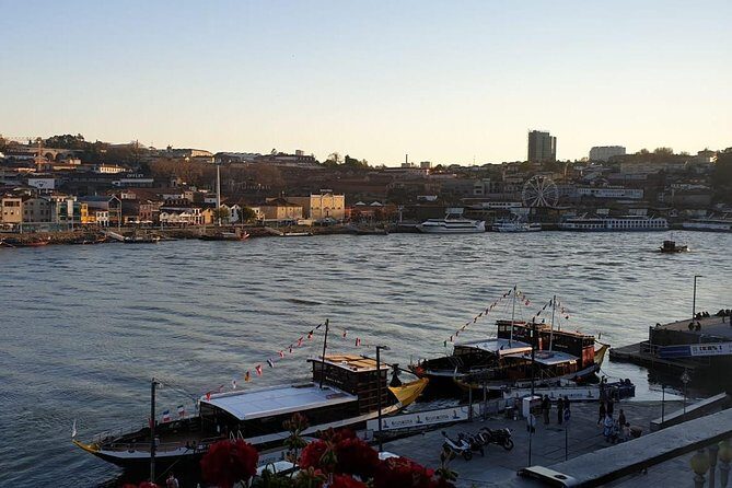 Porto Private Tour - A Full Breakdown of the Porto Private Tour