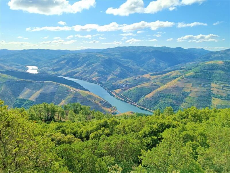 Porto: Private Tour Douro Valley/Winery SECXVIII /Boat/Lunch - The Value of a Private Tour Experience