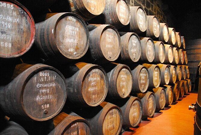 Porto Private Tour from Lisbon - Introduction