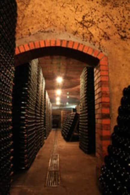 Porto: Private tour in Bairrada - From wine to suckling pig with tradition. - A Deep Dive into the Bairrada Region and Its Charm