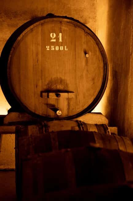 Porto: Private tour in Bairrada - From wine to suckling pig with tradition. - What Travelers Will Love