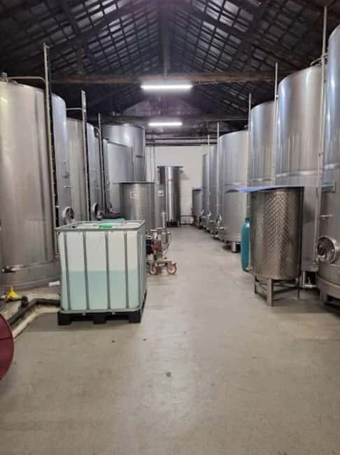 Porto: Private tour in Bairrada - From wine to suckling pig with tradition. - Who is This Tour Best For?
