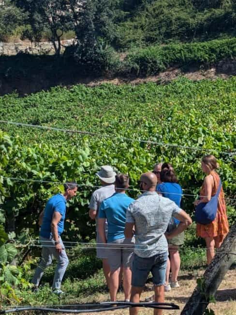 Porto: Private tour of the Douro Valley and schist village. Exclusive program - Authentic Reviews: What Travelers Say