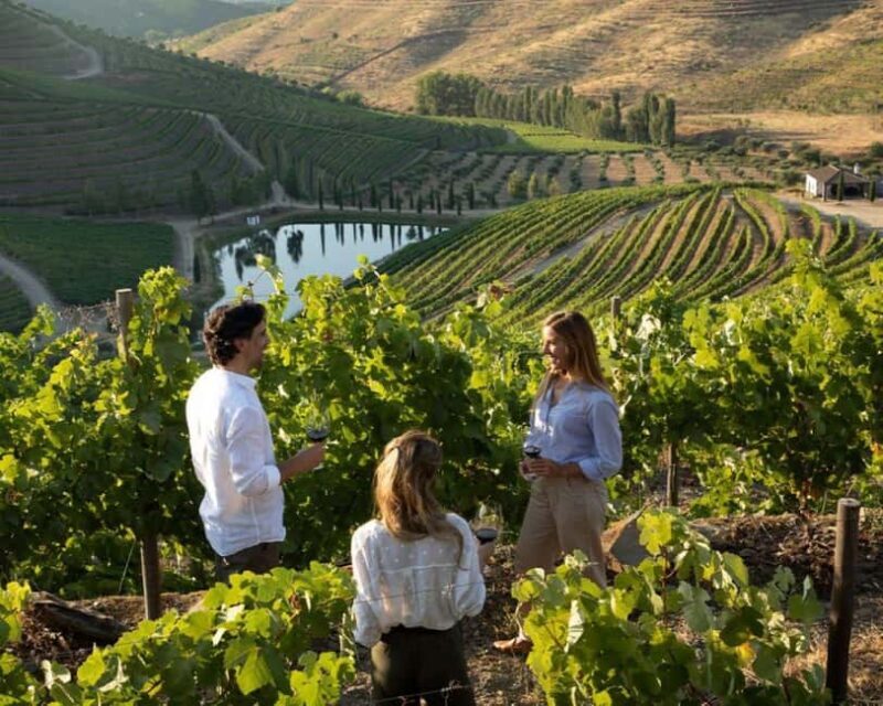 Porto: Private tour of the Douro Valley and schist village. Exclusive program - Who Should Consider This Tour?
