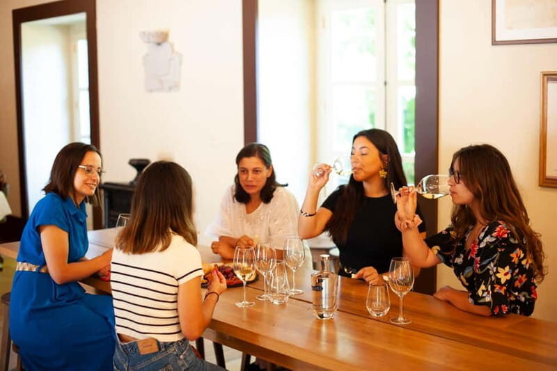 Porto: Qta da Aveleda Enchanted Gardens & Green Wine - The Transportation and Duration