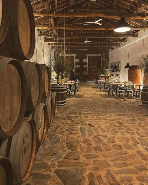 Porto: Régua Cruise with Train Ride and Wine Tasting - Key Points