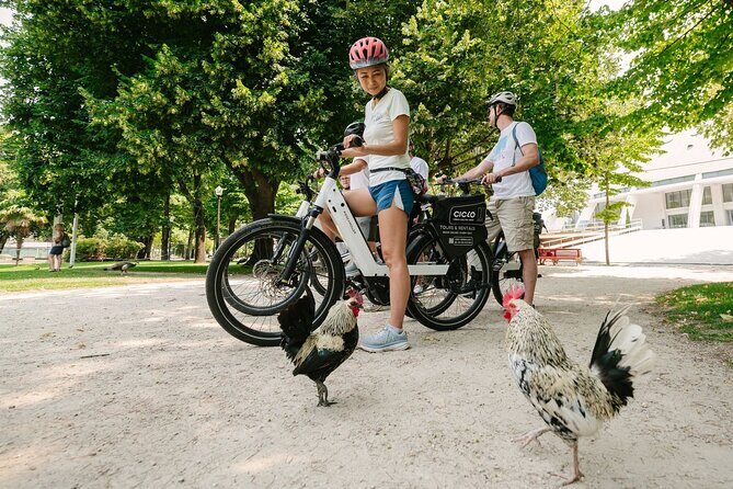 Porto Riverbank E-Bike Tour - Atlantic Coast, Gardens - What We Love and What to Consider