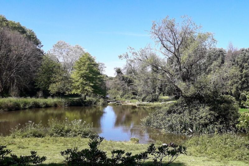 Porto Riverbank Tour on an e-bike: Atlantic Coast, Gardens - Authentic Experiences and Practical Considerations