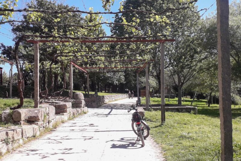 Porto Riverbank Tour on an e-bike: Atlantic Coast, Gardens - Why This Tour Offers Great Value