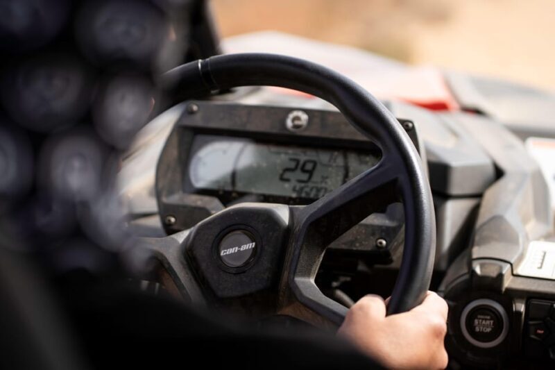 Porto Santo: 90 Minutes Off-Road Buggy Tour - Who Should Consider This Tour?