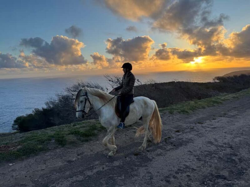 Porto Santo Island: Horse Riding - Discovering the Port of Porto Santo on Horseback