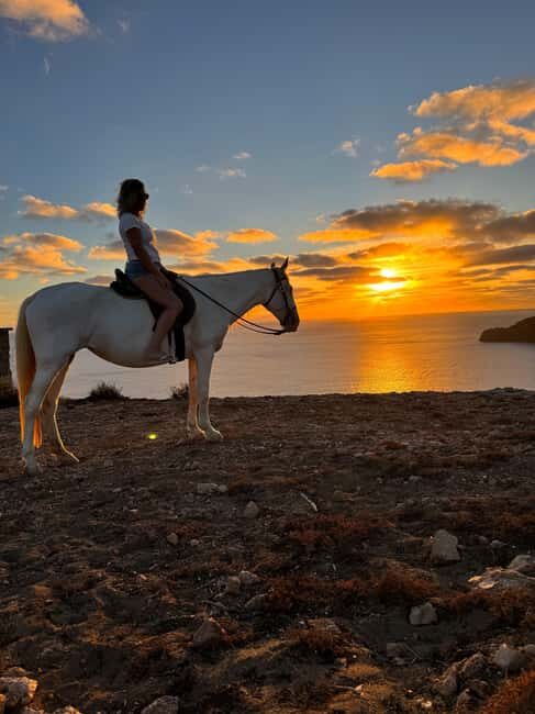 Porto Santo Island: Horse Riding - The Experience: What Riders Say