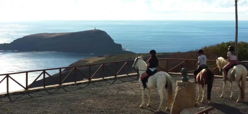 Porto Santo Island: Horse Riding - Why This Tour Is a Value for Your Money
