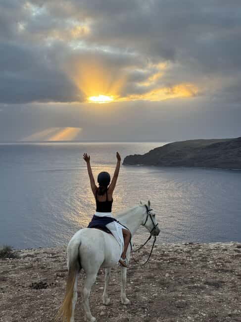 Porto Santo Island: Horse Riding - Who Should Consider This Tour?