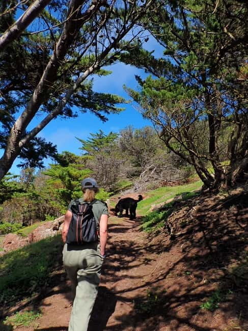 Porto Santo Island: Pico do Facho Panoramic Trail - An In-Depth Look at the Pico do Facho Panoramic Trail
